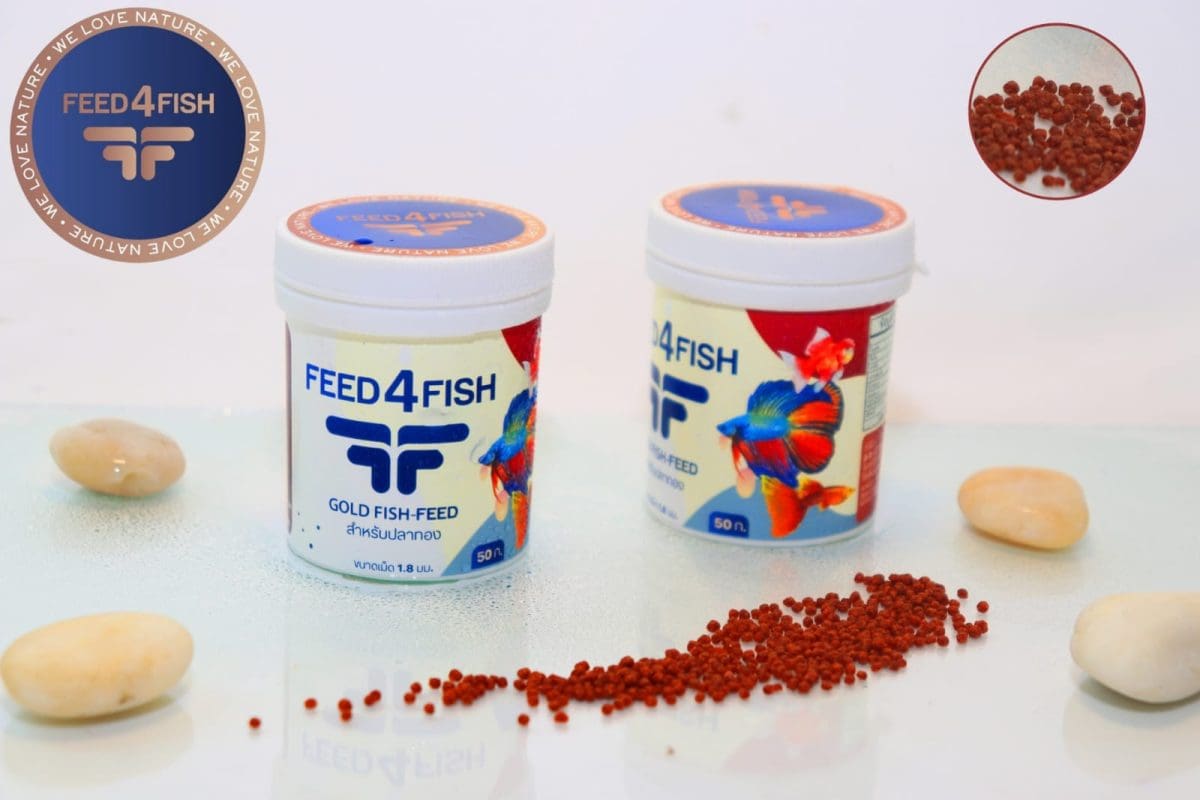 Feed 4 Fish - Maipenrai Aquarium